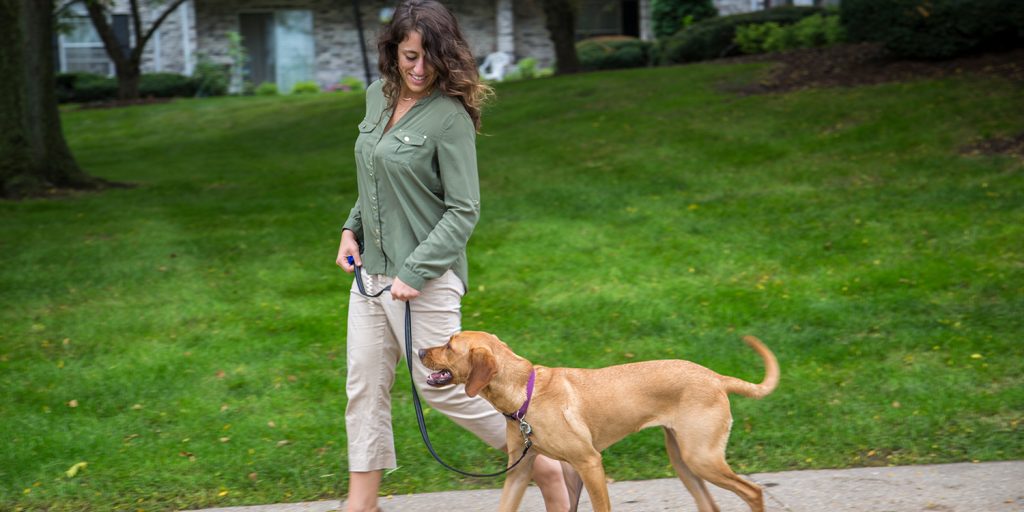 Photo Gallery – Venture