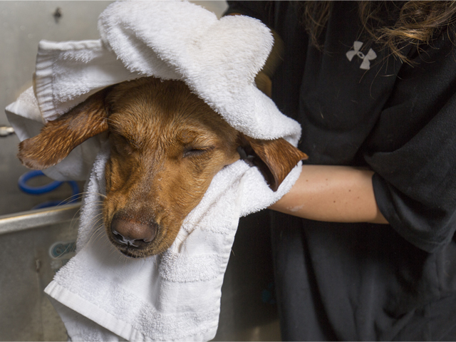 Venture – Luxury High Rise